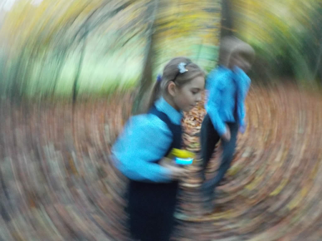 Action - Sharp Shots Photo Club