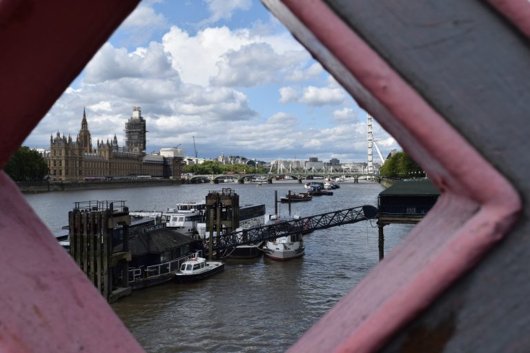 Camera... Action! - Sharp Shots Photo Club