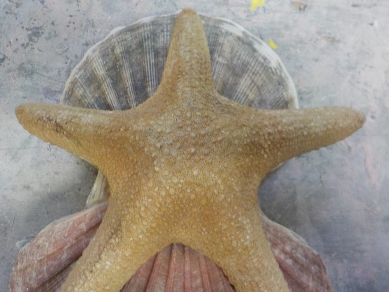 Patterns in everyday life - Sharp Shots Photo Club