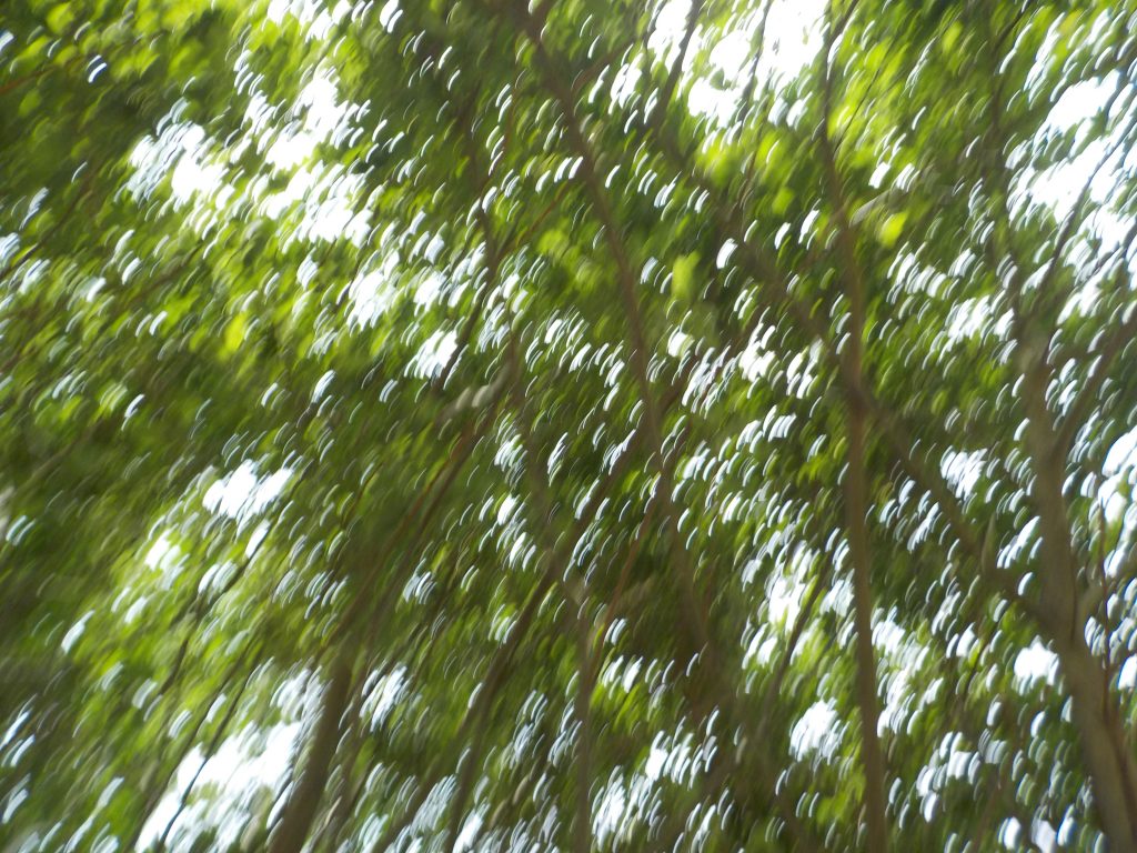 After school photography theme this week is: blur! - Sharp Shots Photo Club